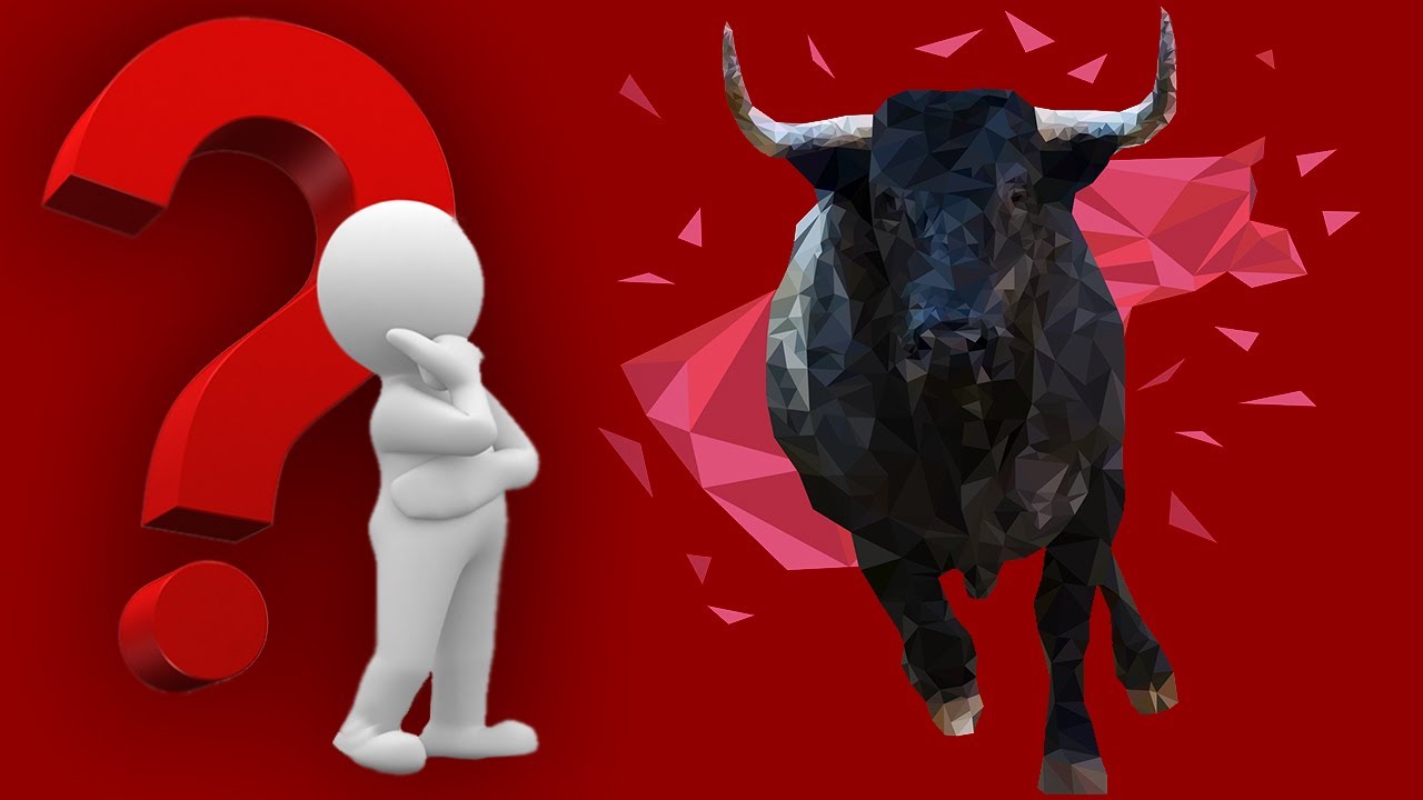 Do bulls get angry because of red color? - Myth or reality? - YouTube