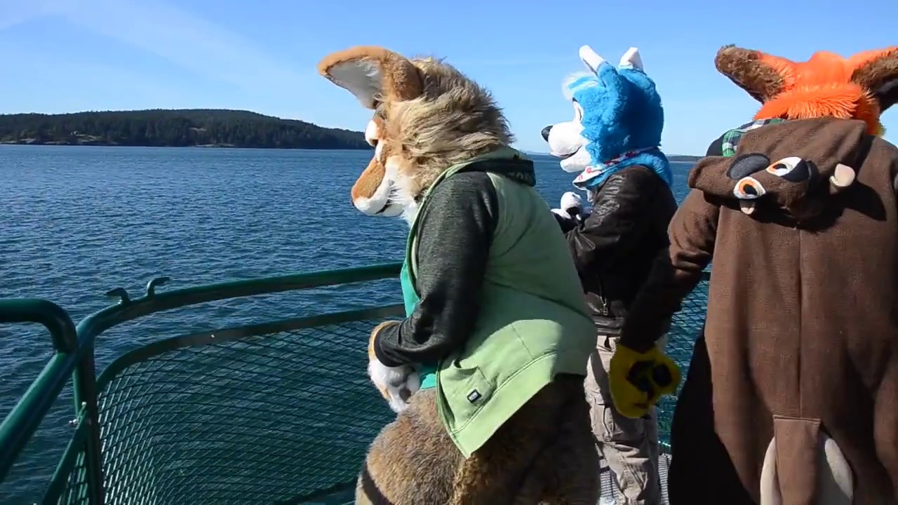 Birty Furry San Juan Islands - Seattle Adventures ! - YouTube