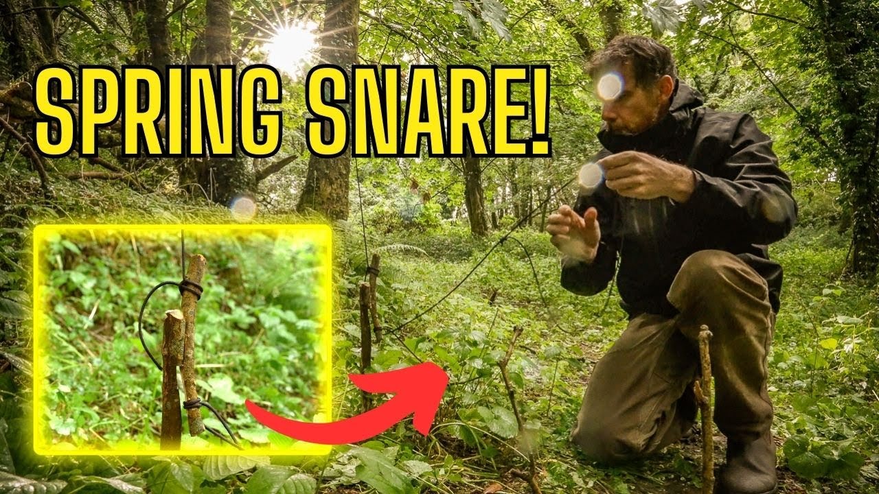 SPRING SNARE TRAP! | Solo Bushcraft - YouTube