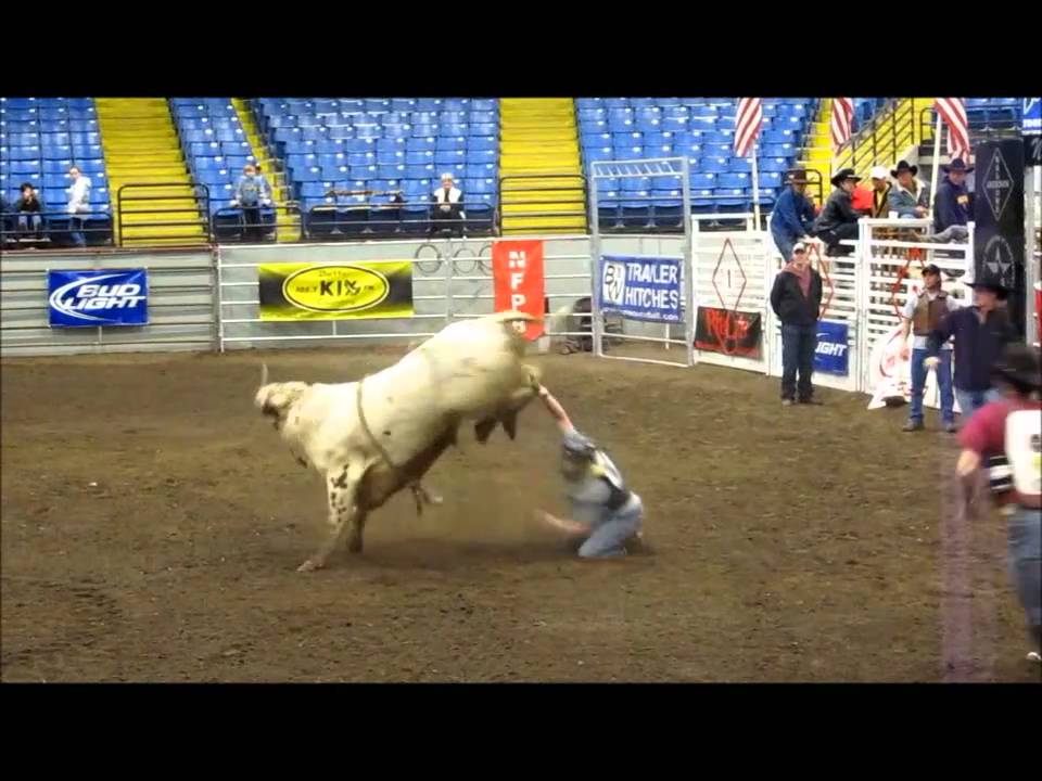 Pyle Bucking Bulls East View Ranch Ram Rod - YouTube
