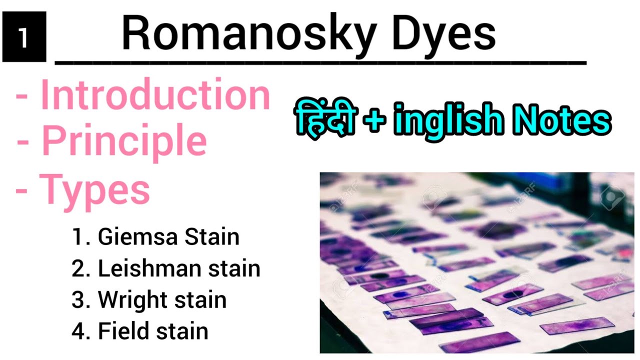 Giemsa Stain Notes Romanosky Dyes - YouTube