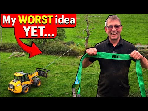 Pulling down dead tree with my JCB… FARMER STYLE!! 