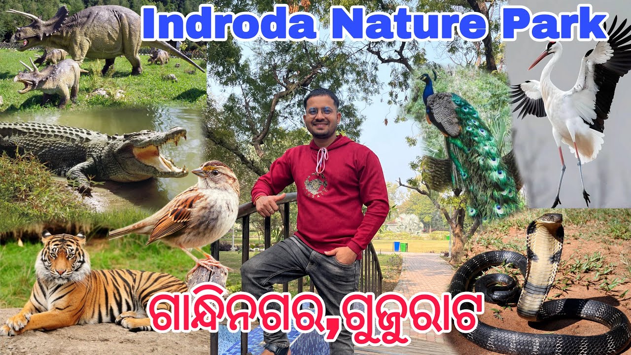 Indroda Nature Park | Gandhinagar, Gujarat | #odiavlog - YouTube