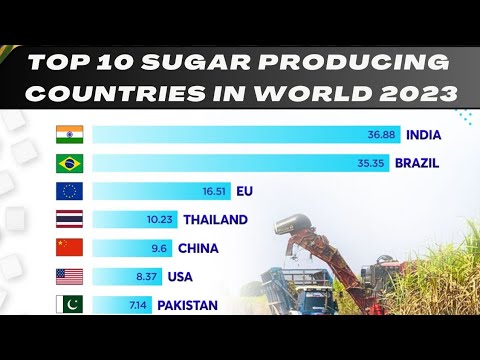 Top 10 sugar producing countries in world 2023 | Biggest sugar producer ...