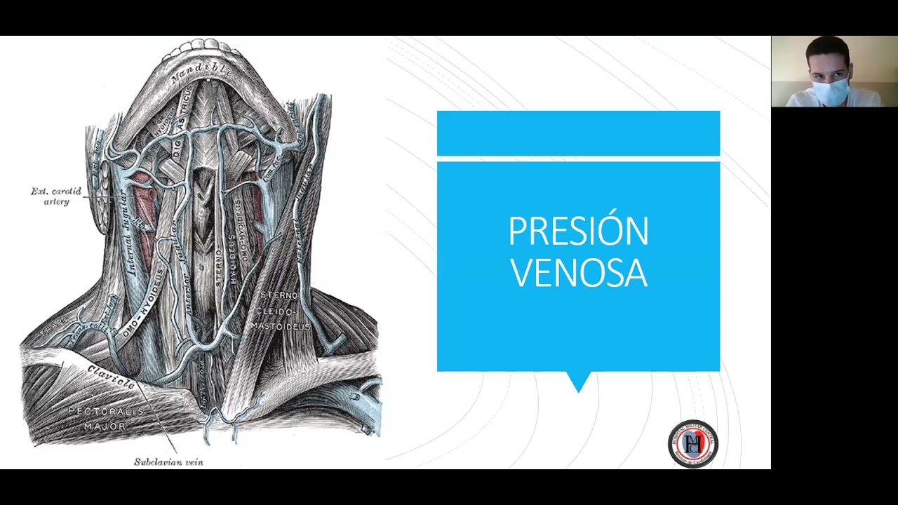 Pulso y presión venosa - Módulo Semiología Cardiovascular - YouTube
