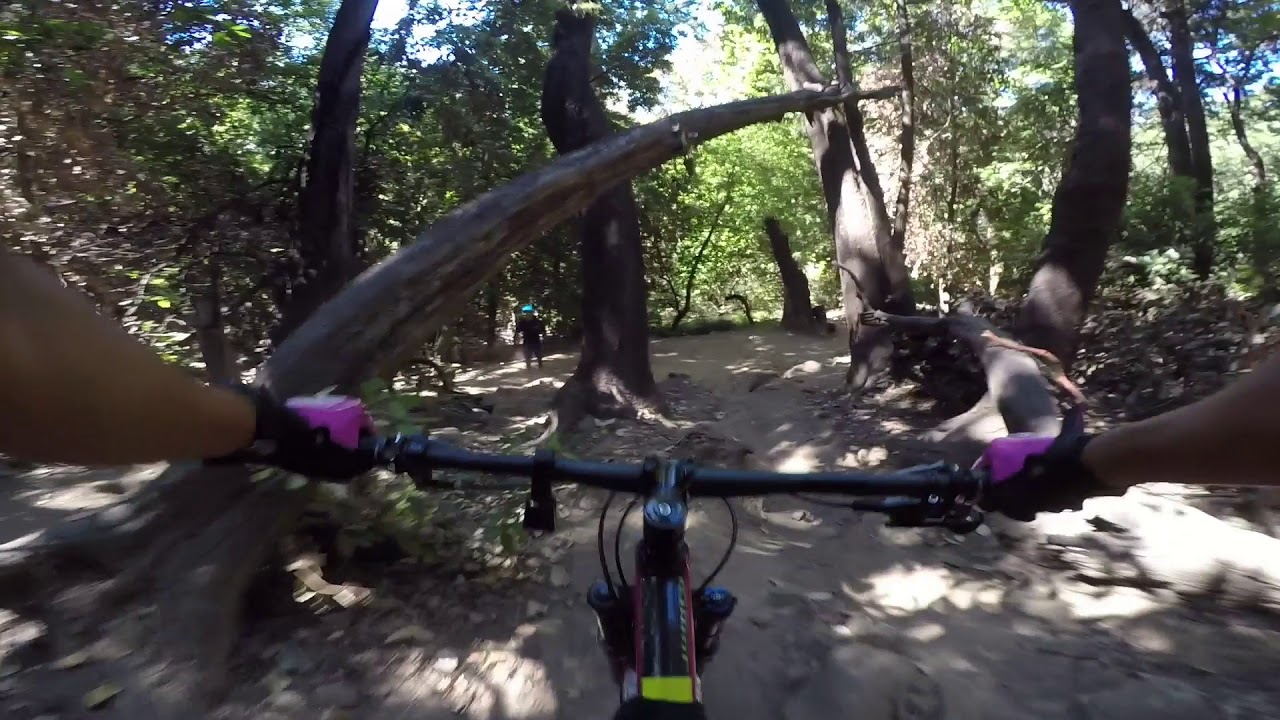 Demonstration Forest - Ridge Trail (To Flow) - YouTube