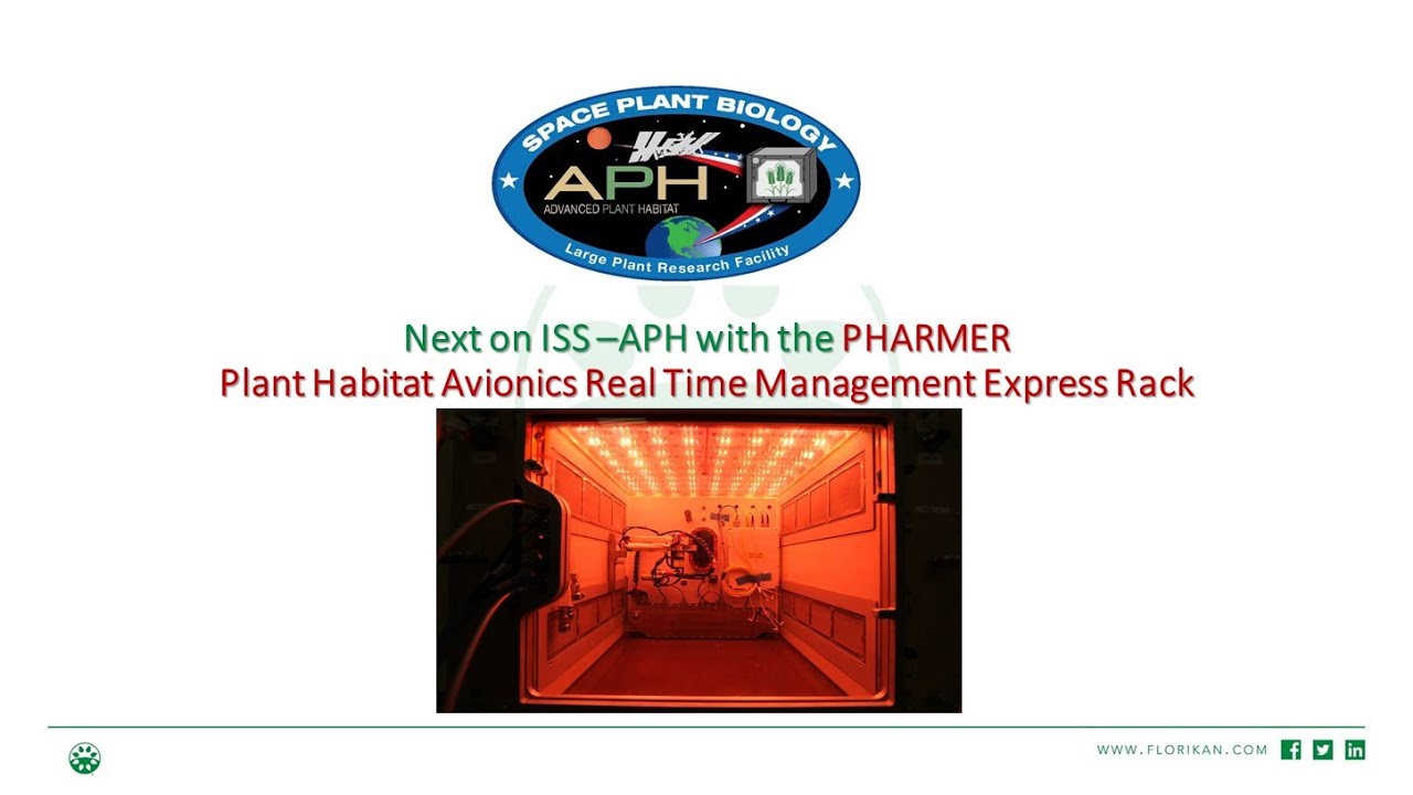 Space Plant Biology - Florikan and NASA - Part 4 - The APH - YouTube