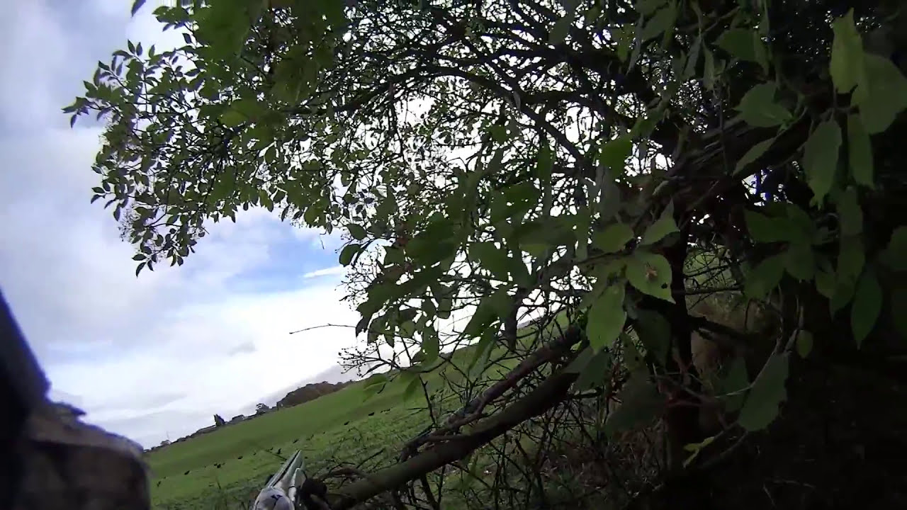 Crow shooting - YouTube