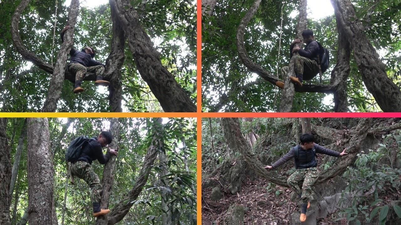 Tarzan swings quickly on a rope in the tropical forest - YouTube