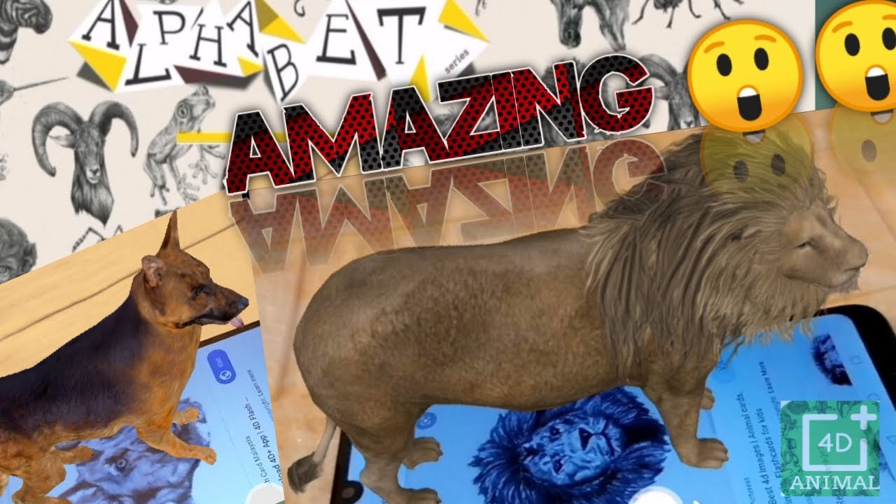 How to use animal 4D+ application to view virtual reality images - YouTube