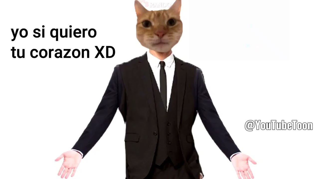 *Morro pública que nadie quiere su corazón* No digas eso Bro - YouTube