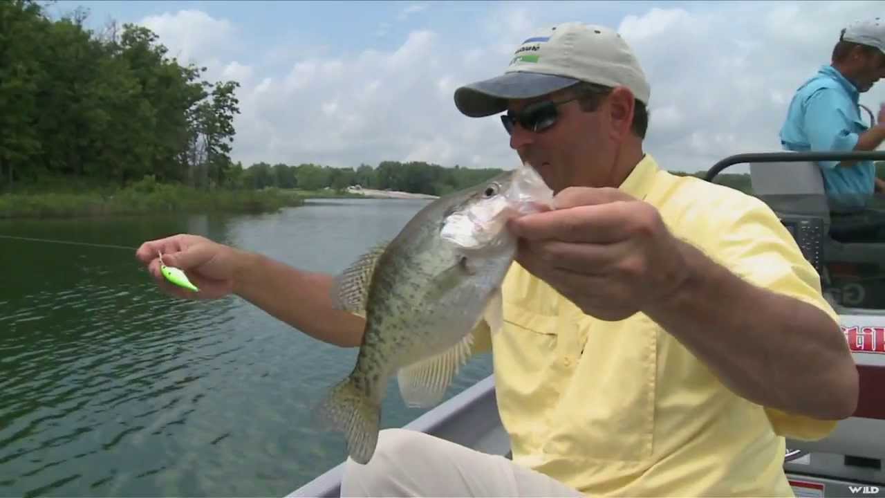 Summer Pattern Crappie Fishing - YouTube