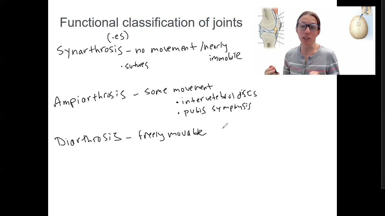 7 2 Functional Classifications Of Joints YouTube 7 2 Functional Classifications Of Joints YouTube