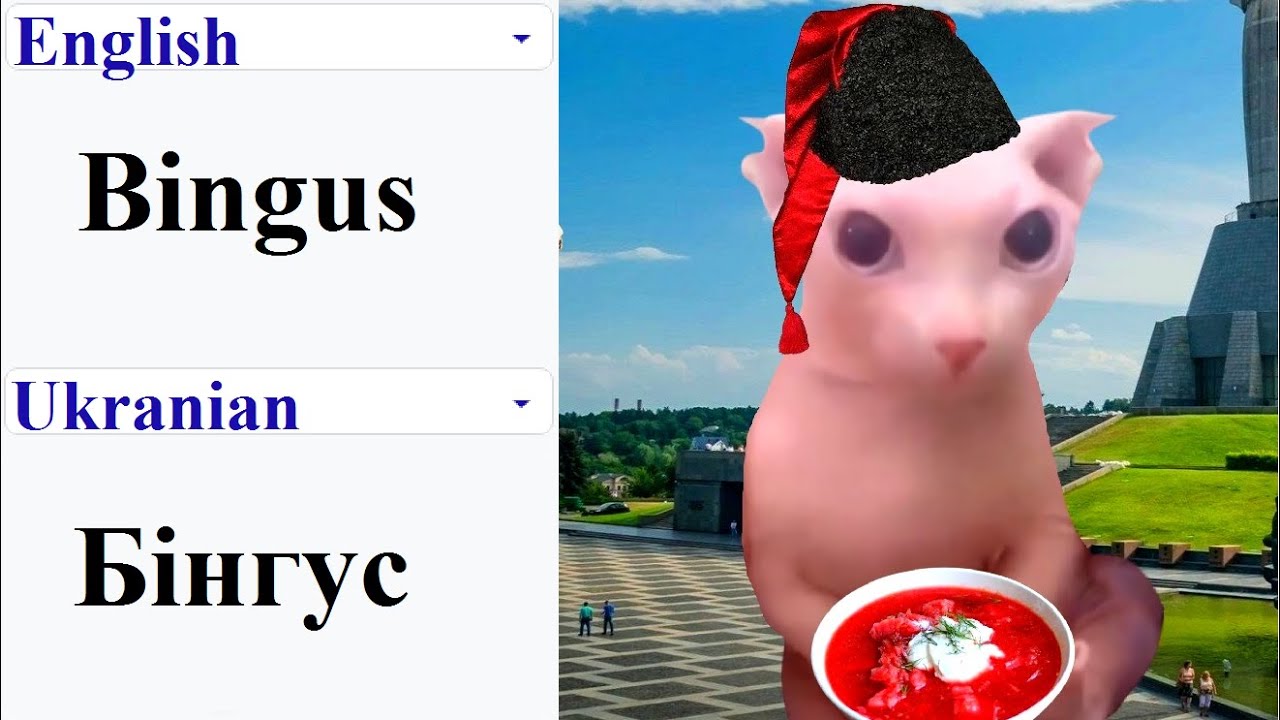 Bingus cat in different languages meme (PART 2) - YouTube