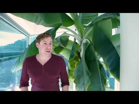 Interview with Dr. Yannick Weesepoel (WUR) during the first PhasmaFOOD ...