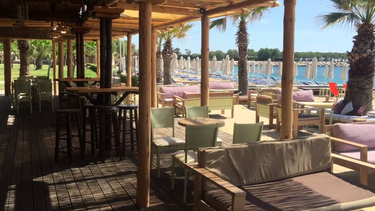 Macaw beach bar - YouTube