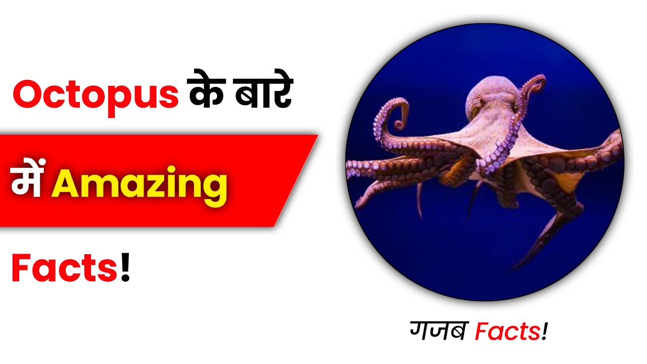 Octopus के कुछ Amazing Facts जो आपने कभी नहीं सुने होंगे! 🐙 - By Sigma ...