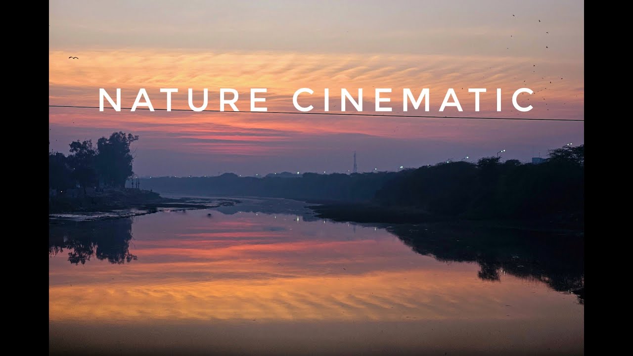 Nature Cinematic Frames | Random Shorts | @liveinmegapixel1027 - YouTube
