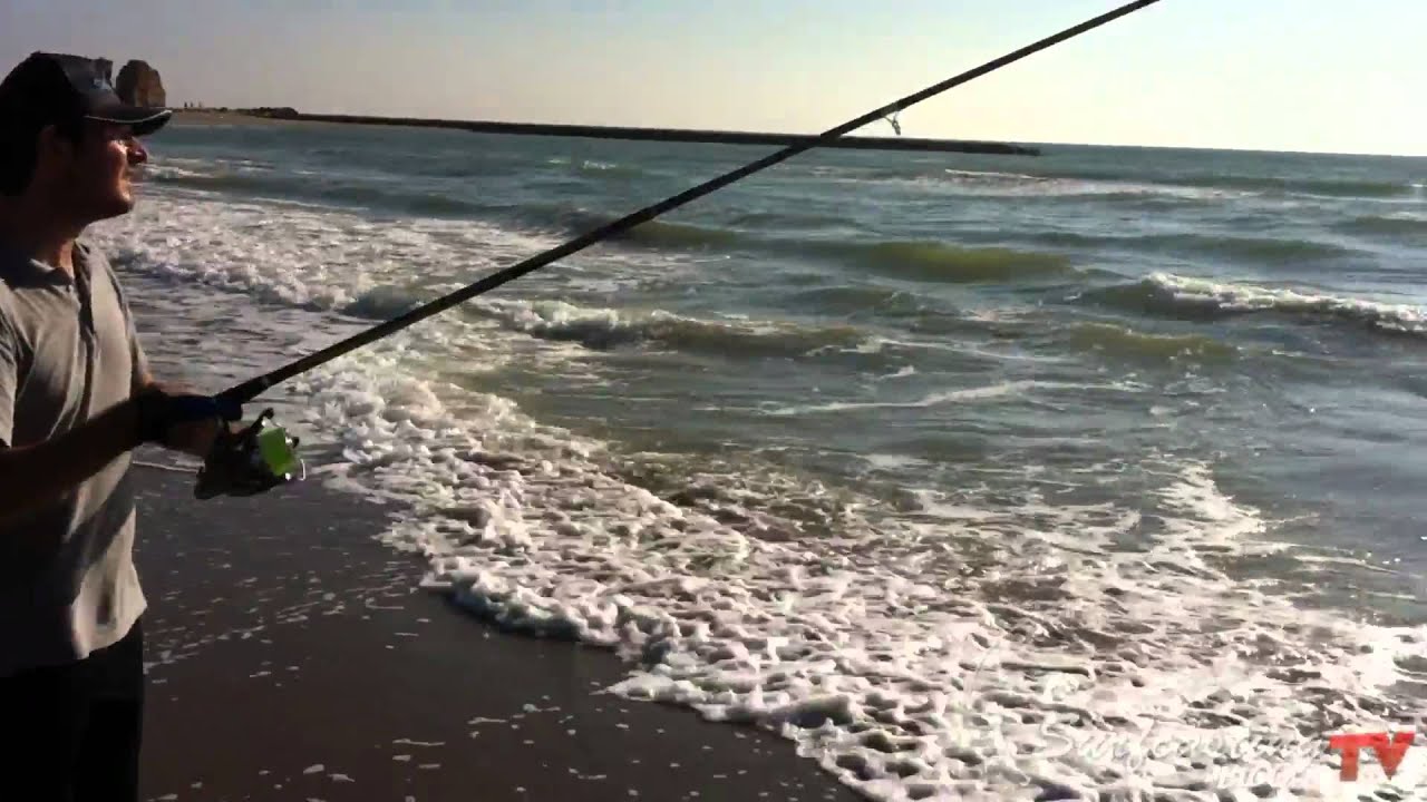 SurfcastingBlogTV - Orata da 700 gr catturata con il granchio - YouTube