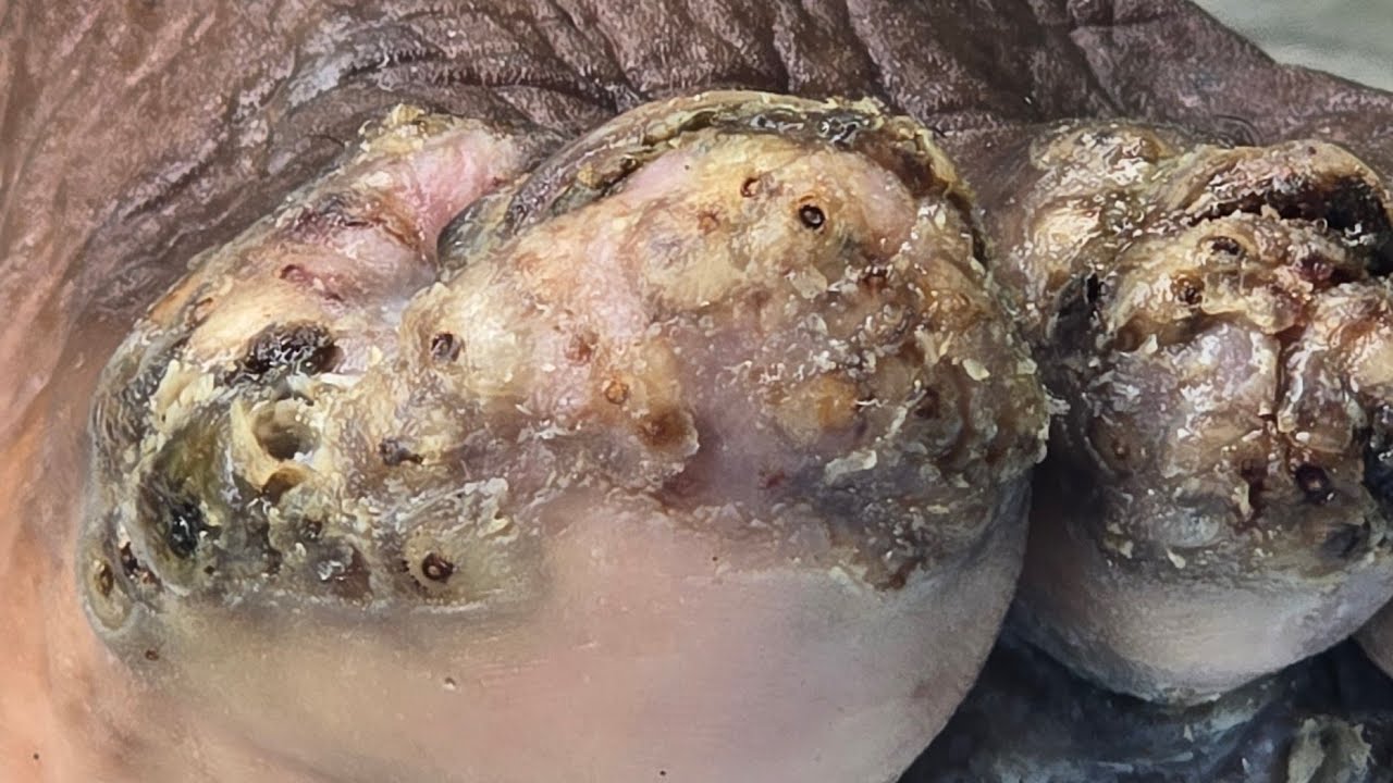 Timina - jiggered, special, violent #1 - long videos @riseupsociety.net ...