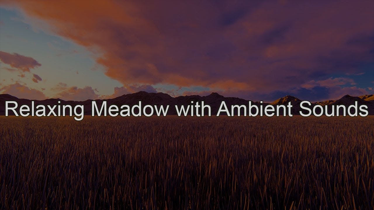 Relaxing Meadow with Ambient Sounds || Relaxing Nature Ambience ...
