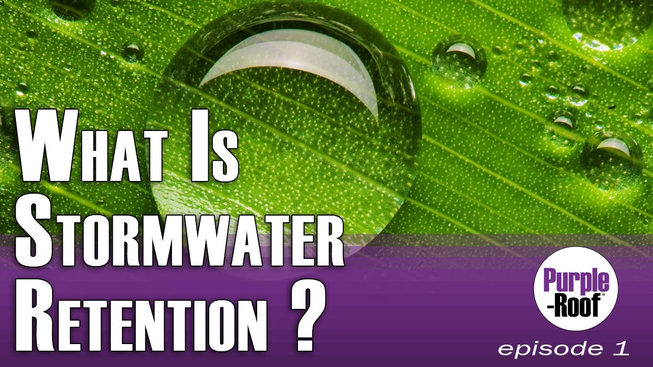 What is Green Roof Stormwater Retention? (Ep. 1) - YouTube