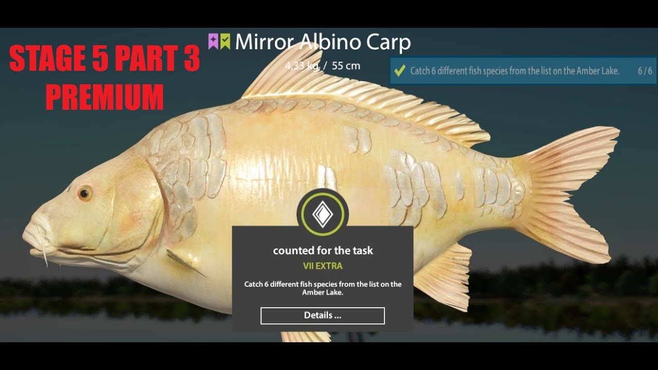 RF4 7th Anniversary Stage 5 part 3 Premium - YouTube