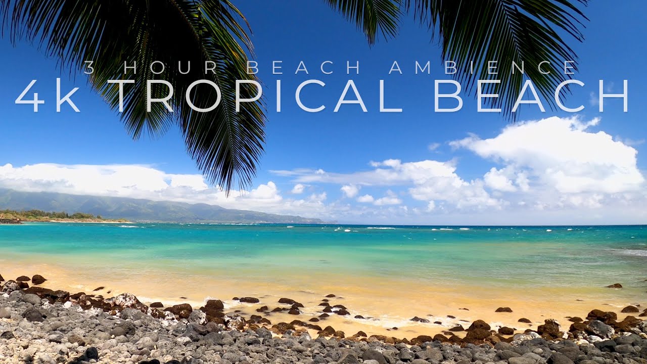 (3 HOURS) Tropical Beach Ambience in 4k UHD With Ocean Sounds of Waves ...