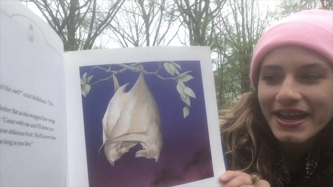 Stellaluna, by Janell Cannon - YouTube