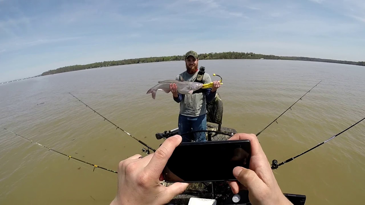 Potomac River Blue Catfish - YouTube