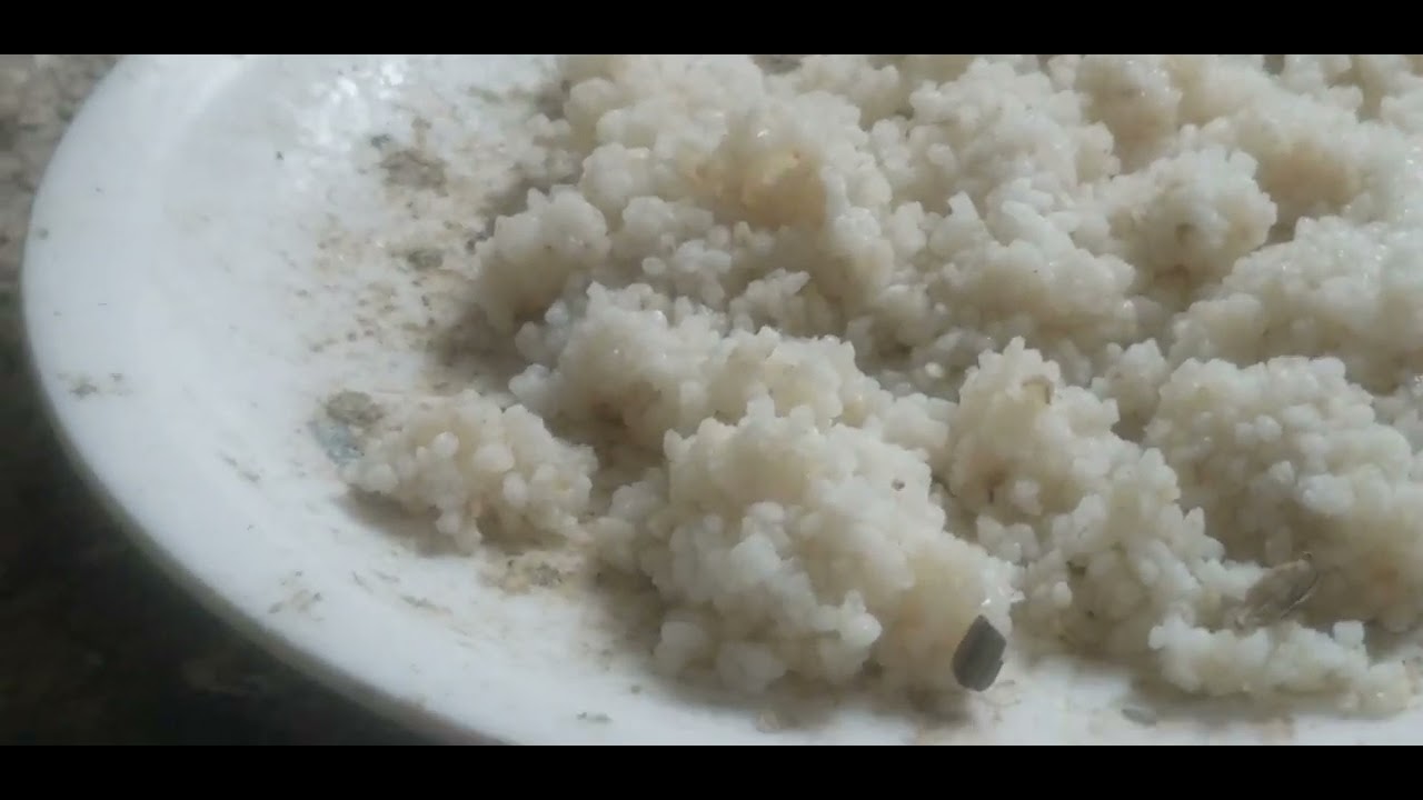 #Pite Dove #1 December 2024 - YouTube