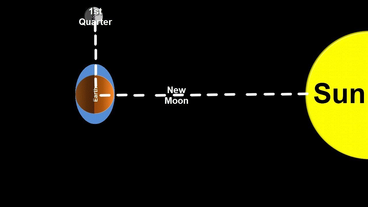 During Which Moon Phase Do Spring Tides Occur (Full Guide)