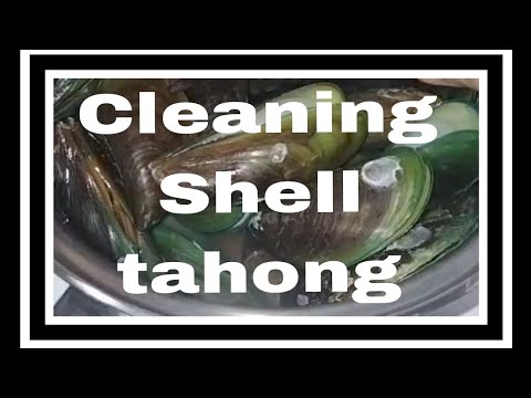 Chonila Reyes is live Let's clean shell tahong - YouTube