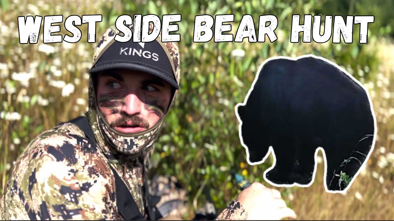 Fall Black Bear Hunting *Western Washington* - YouTube