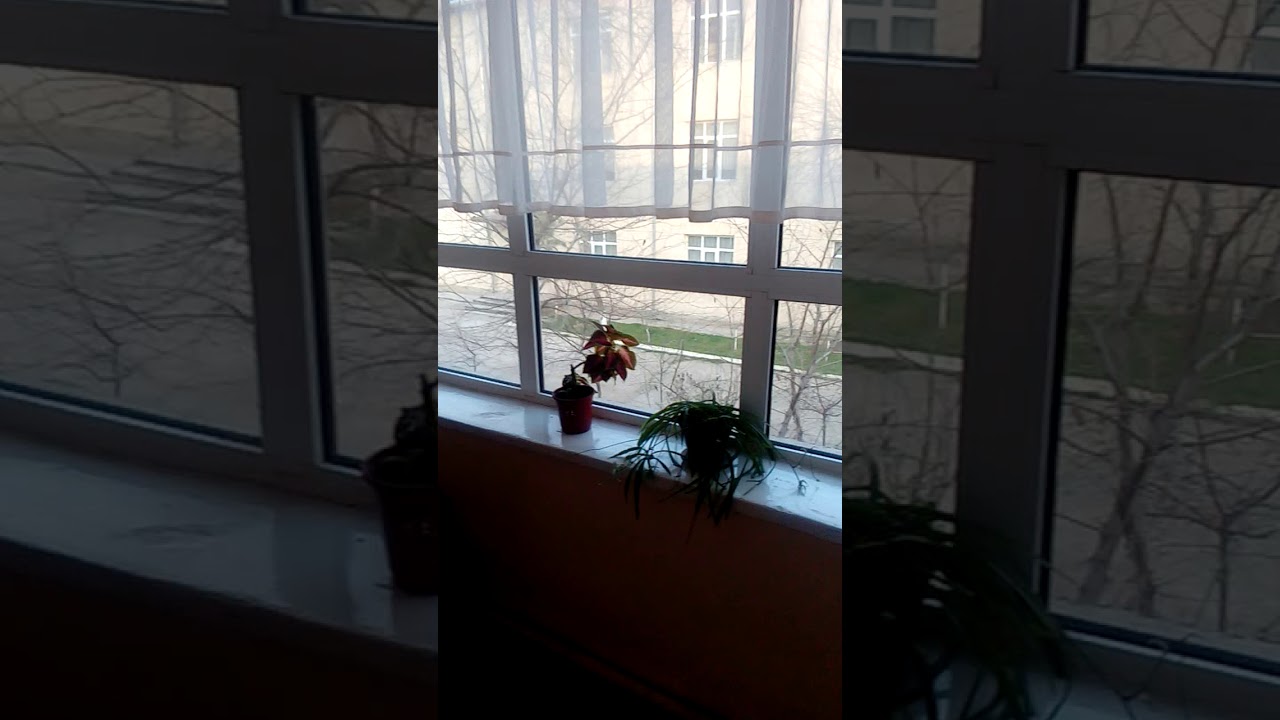 Bektimir ROVD 290 maktab - YouTube