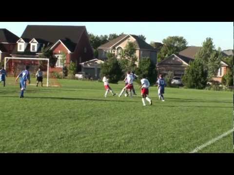 No one kicks the ball like Zlatan