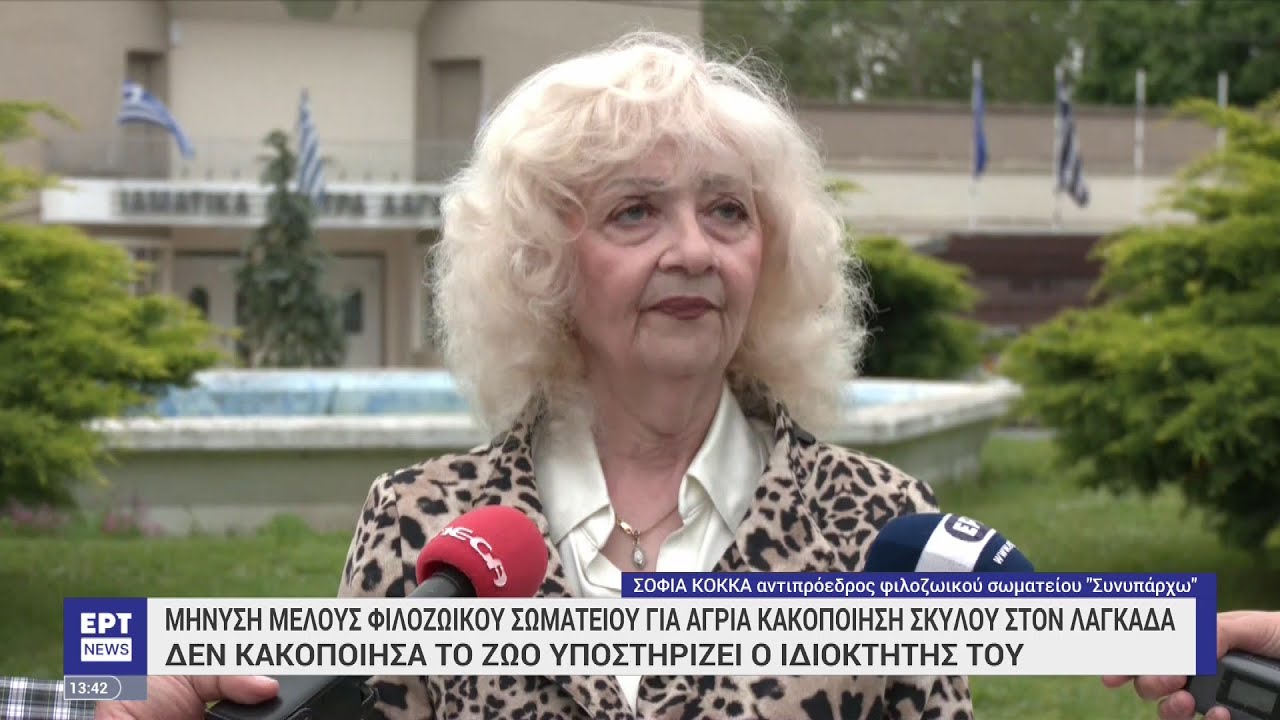 Θεσσαλονίκη: Μήνυση για κακοποίηση σκύλου στο Λαγκαδά | 16/05/2023 ...