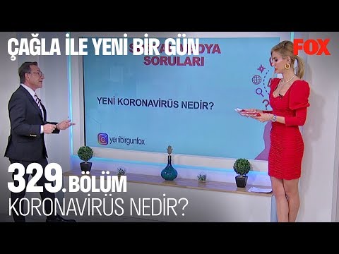 Koronavirüs nedir? Çağla ile Yeni Bir Gün 329. Bölüm