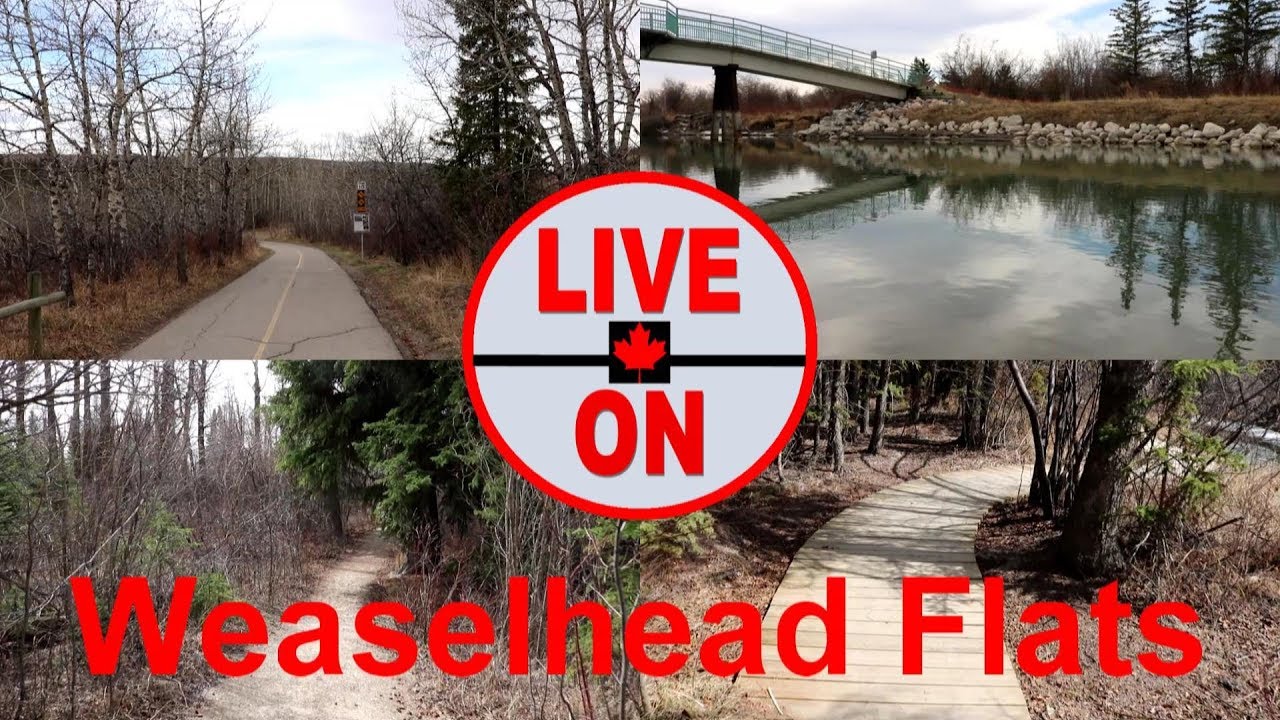Hiking Through Weaselhead Flats Park in Calgary Alberta - YouTube