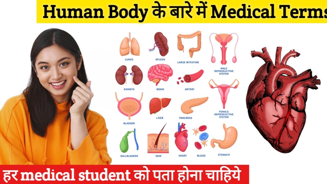 Medical Terminology | Common medical terms about human body | Medical ...