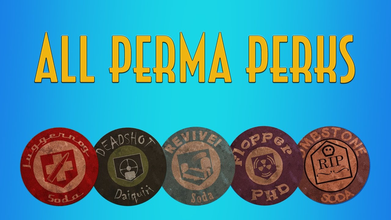 All Perma Perks (Persistent Upgrades) How to get / lose / KEEP! Call of ...