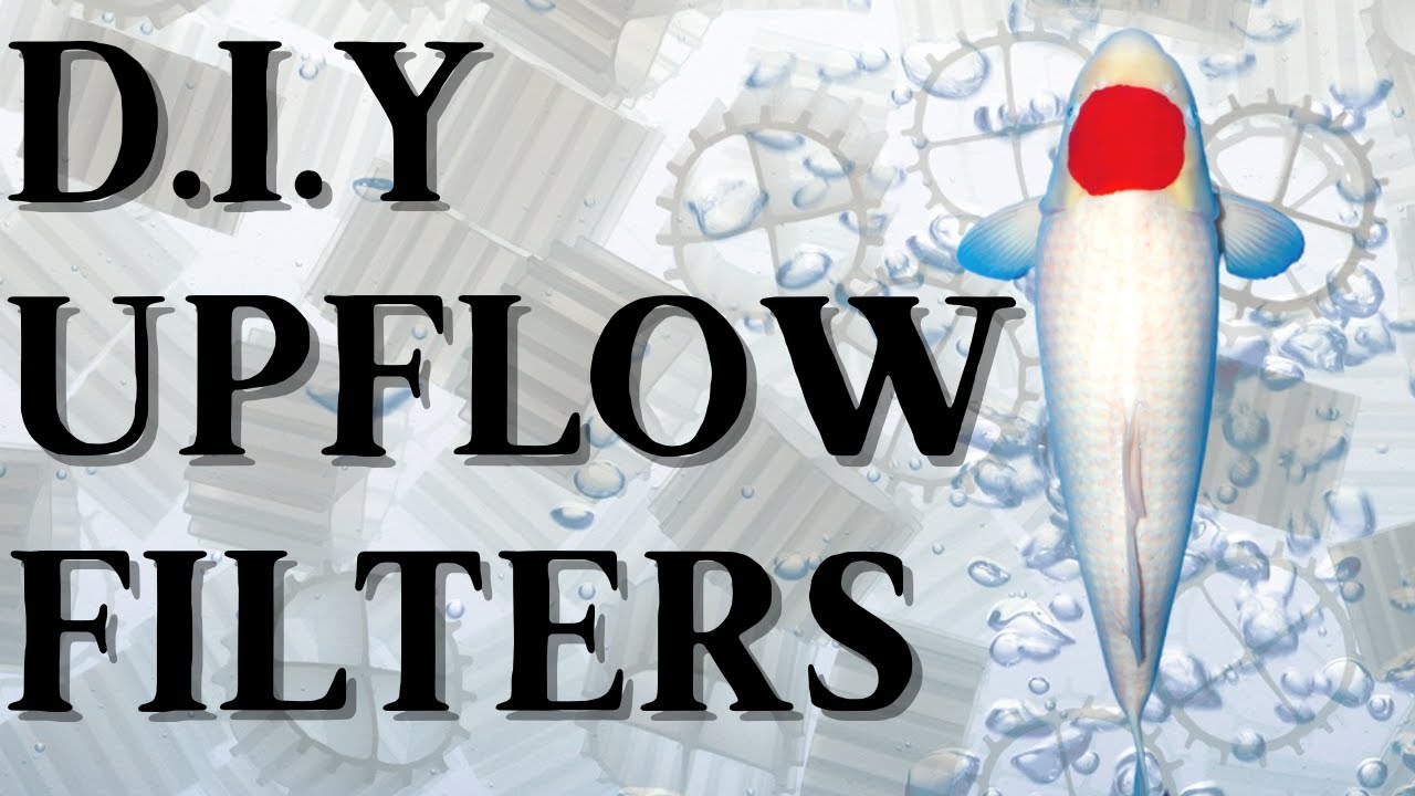 K1 Upflow filter Principles (DIY koi pond build) - YouTube