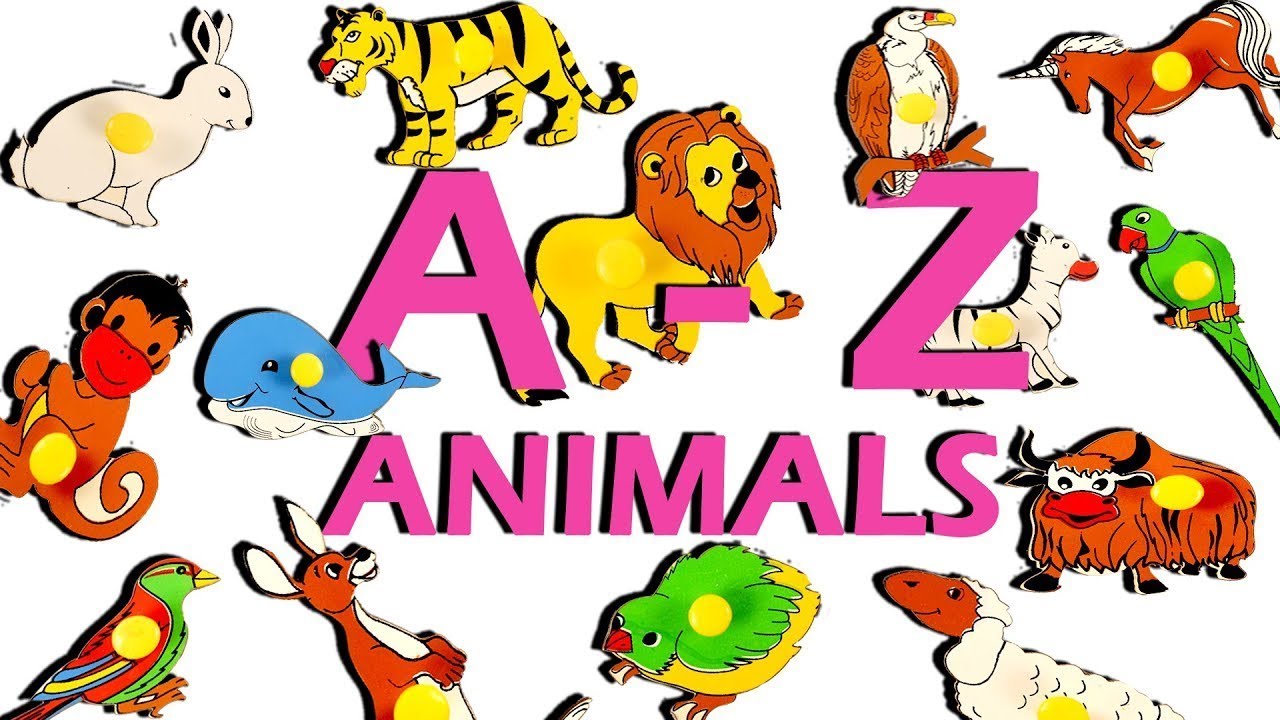 Learn A to Z Animal Names for Kids - YouTube
