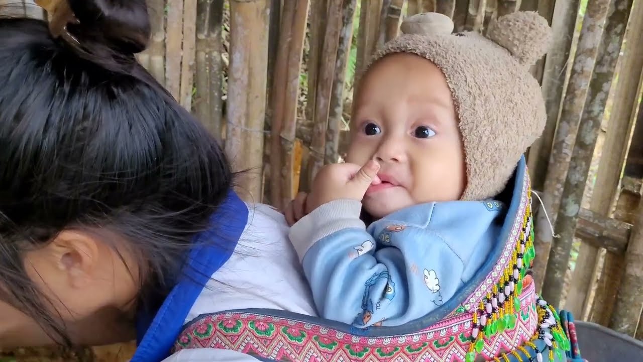 Life peaceful, mother cook purple sticky rice for child'ren eat | Ly ...