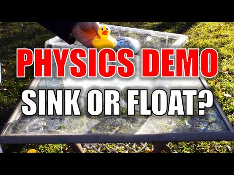 Fluids Demo: Sink or Float? - YouTube