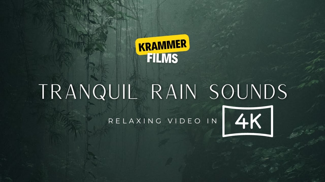 Tranquil Rain sounds 4K: The Perfect Soundscape for Sleep, Meditation ...
