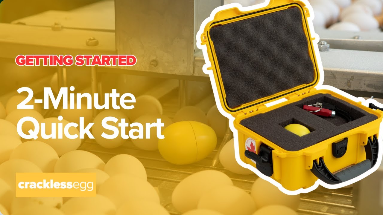 Getting Started with CrackessEgg | 2-Minute Quick Start - YouTube