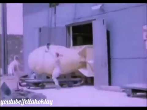 Adım Adım Atom Bombası Saldırısı!