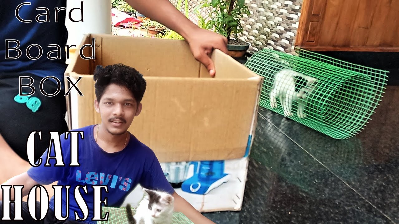 cardboard box CAT HOUSE | cat house | DIY CARDBOARD BOX IDEAS | KS ...