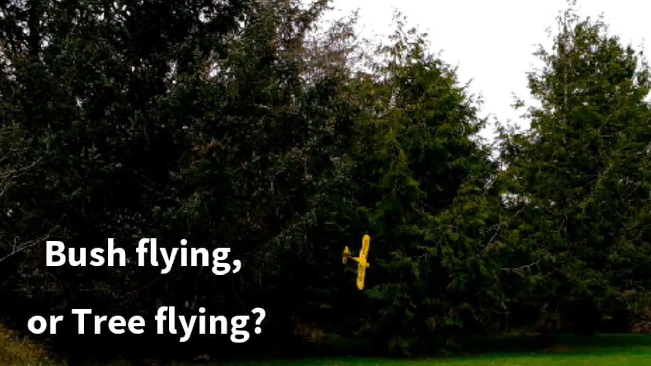 Real bad bush flying - YouTube